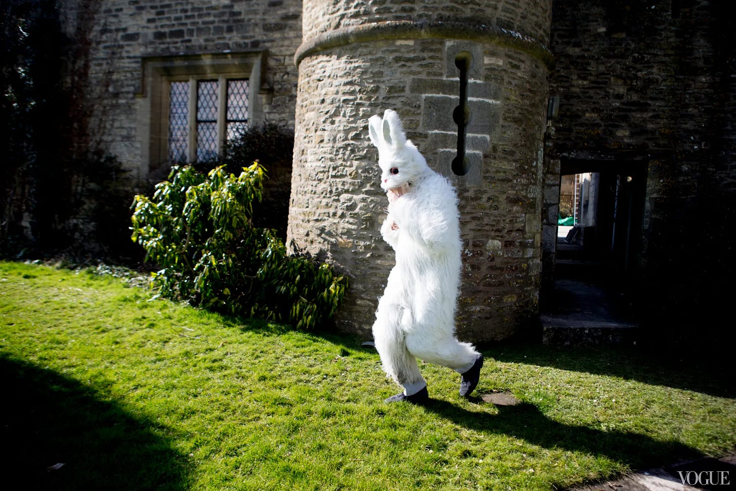 Who is Rachel Chandler? - by Jessica Reed Kraus