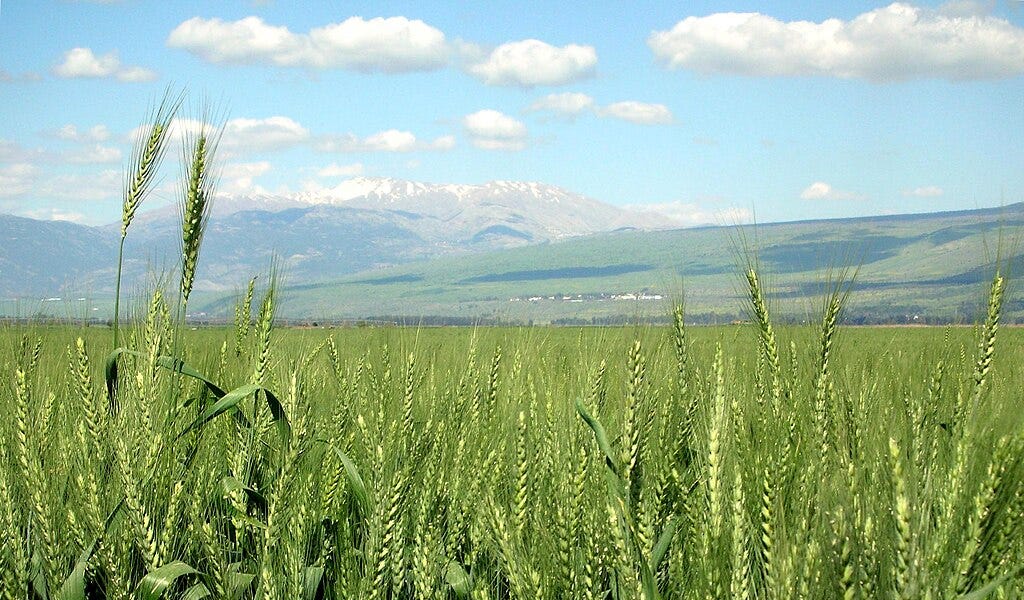 AgTech Market Map & Investor List - by Aaron Pickard