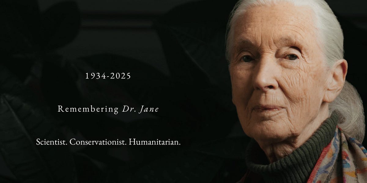 Jane Goodall: The Power to Change Minds - by Roberta Laurie
