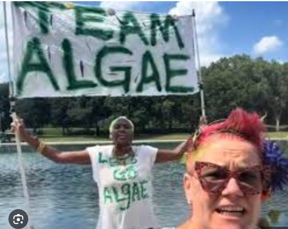 The 22 Best Reflecting Pool Memes - A Sunday Night Special