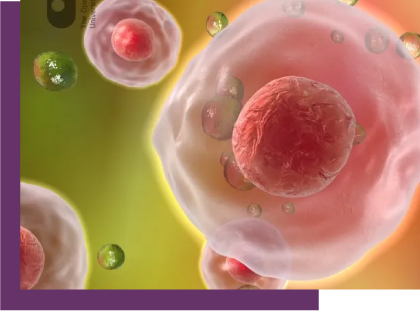 A New Frontier in Cancer Therapy: Electro-Capacitive Cancer Therapy (ECCT)