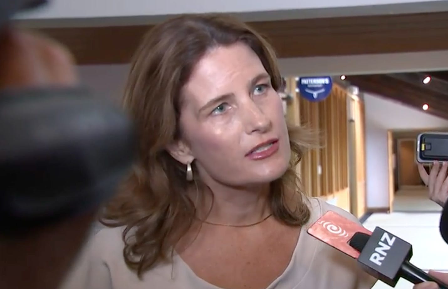 Promises and Lies - by Nick Rockel - Nick's Kōrero