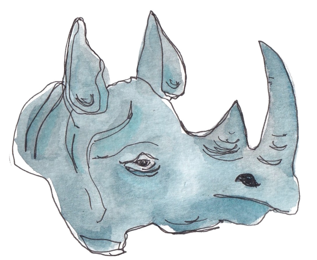 66. Magic Narwhal, Kind Eyes, Can't Lose