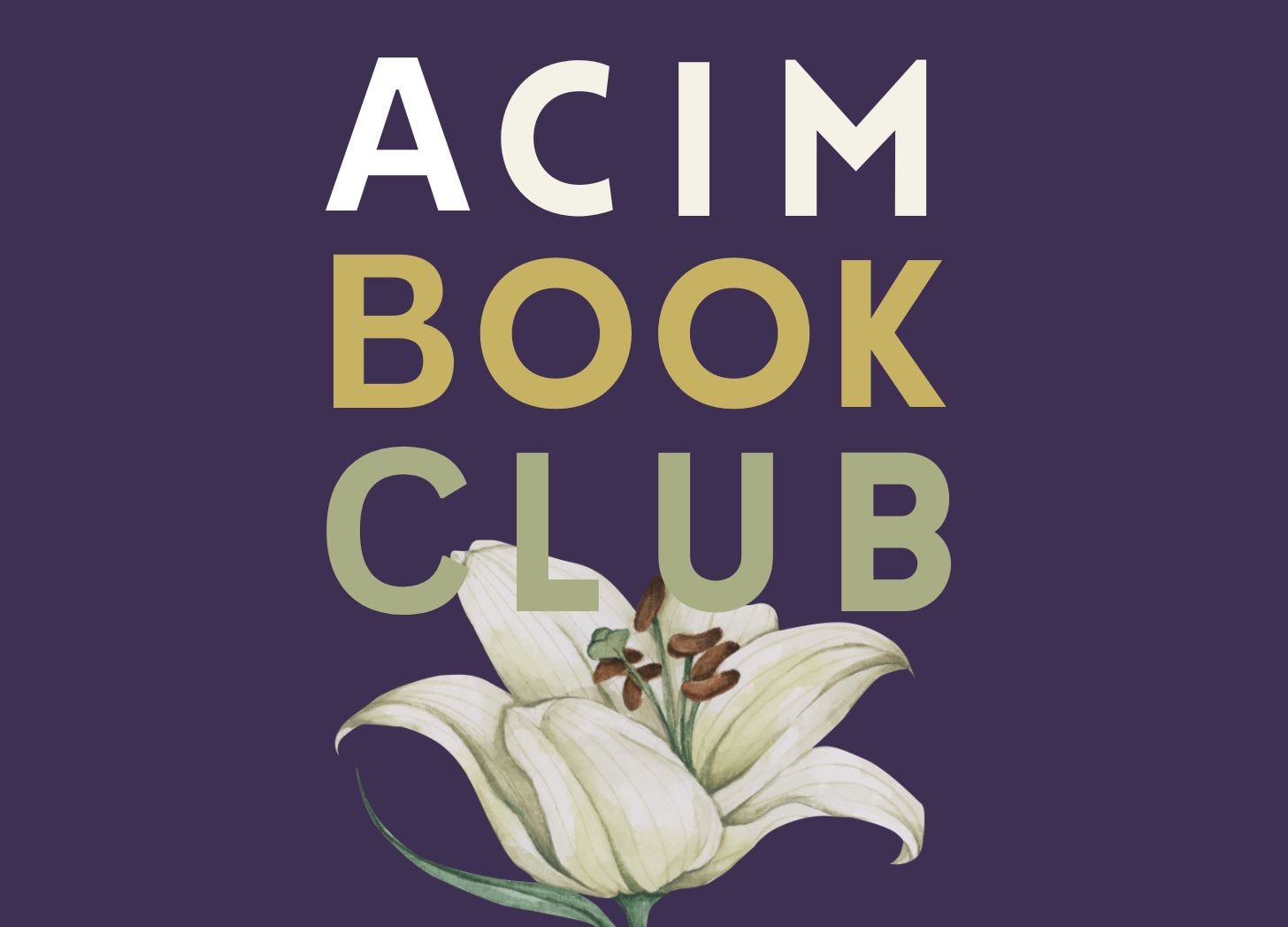 ACIM Book Club | Week 1, Chapter 1 - by Alison Anton - ACIM