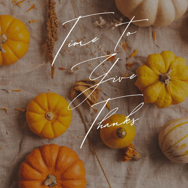 Introduction - by Alyce Elmore - Time To Give Thanks