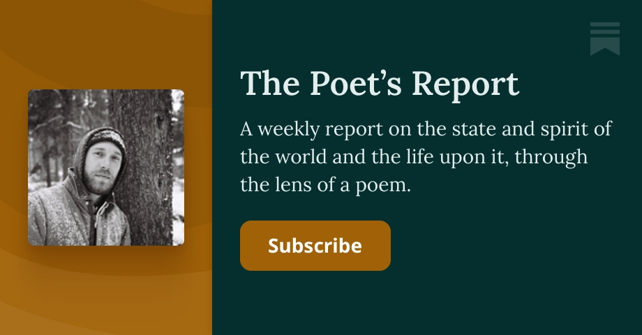 A brief history of heartbreak - by Alexander Shalom Joseph