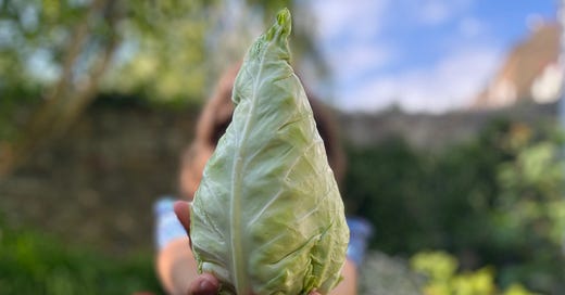 Taking the Hell out of Healthy | Susan Jane White | Substack