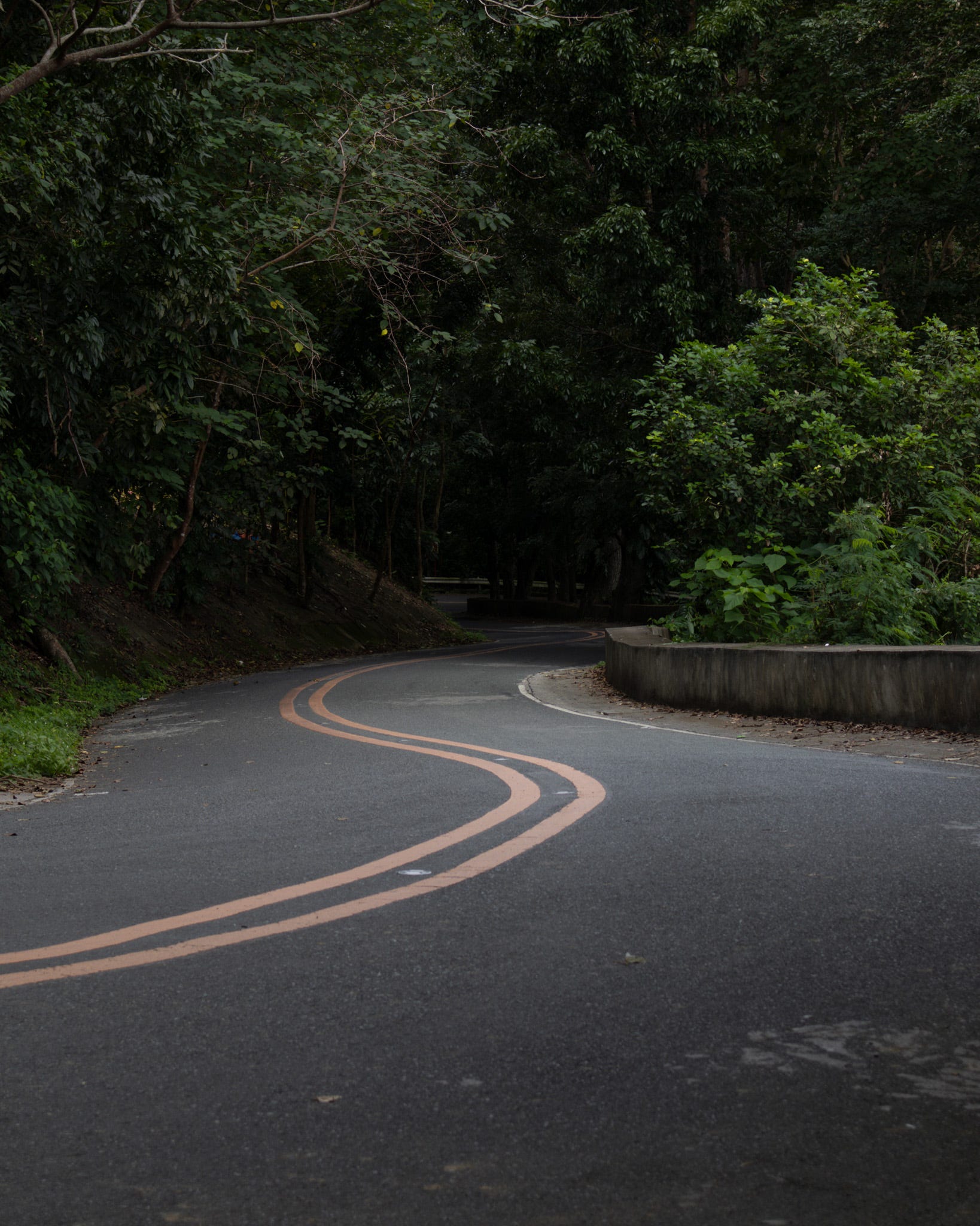 Day 07 — Ilaya, Ilawod - Vince Imbat