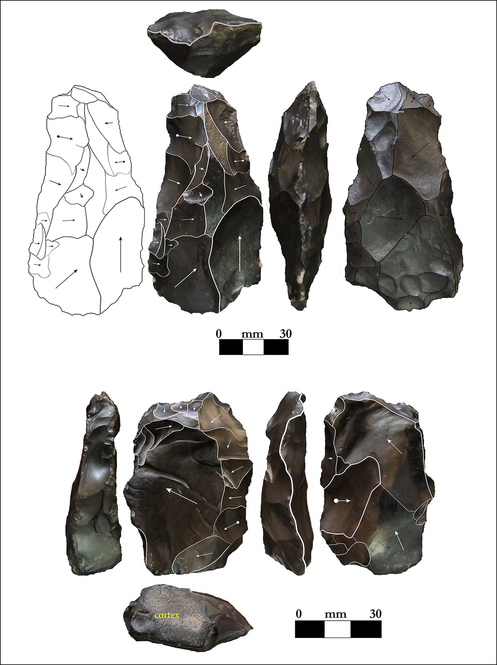 Stone, Silence, and Sand: New Evidence of Pleistocene Life in Iran’s ...