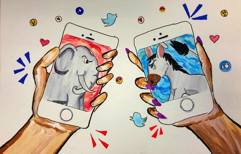 The Role of Politics and Social Media in the New Age of Participation and Disinformation