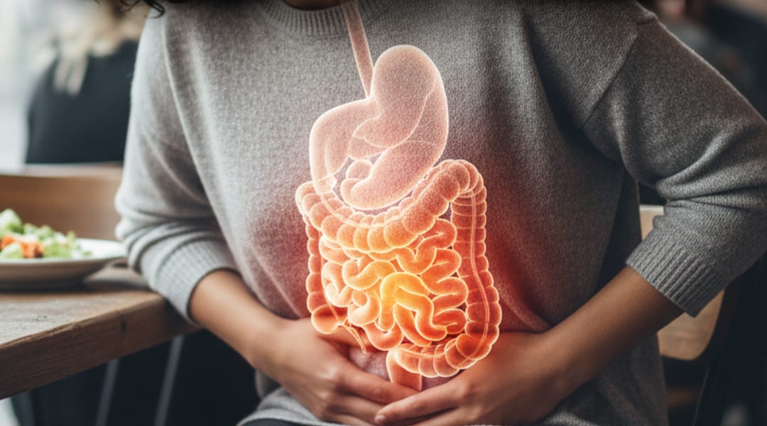 Síndrome do intestino irritável: o que é, sintomas, causas e tratamento