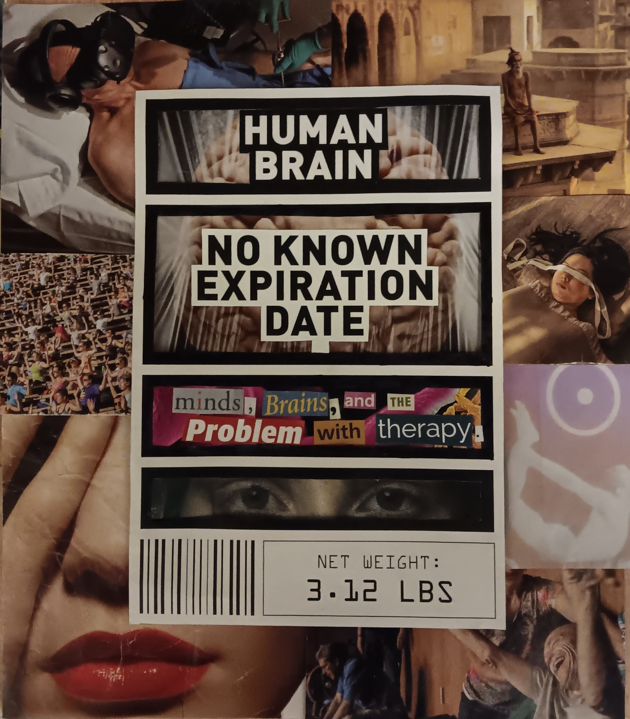 Recalculating: Minds, Brains, and the Problem with Therapy