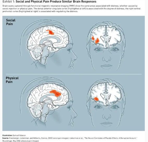 The Biological Approach to Social Anxiety - by Sosa
