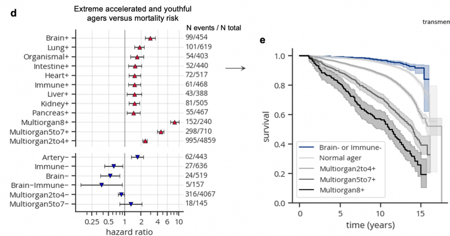 The Emergence of Protein Organ Clocks - by Eric Topol