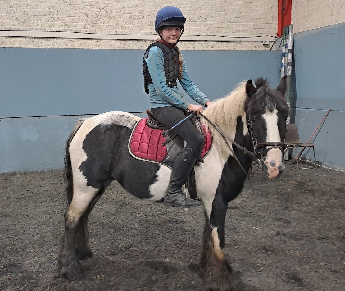 Record-breaking entries at Ecclesville - Horse&Field