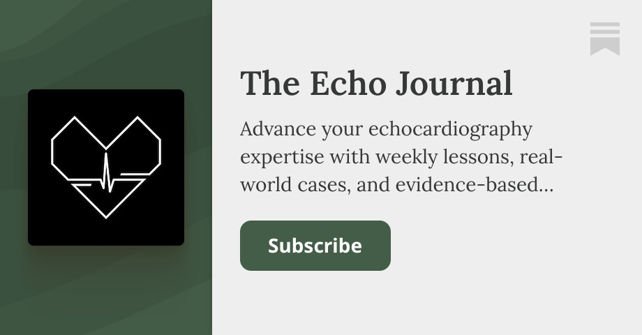 The Echo Journal | Aram K. | Substack