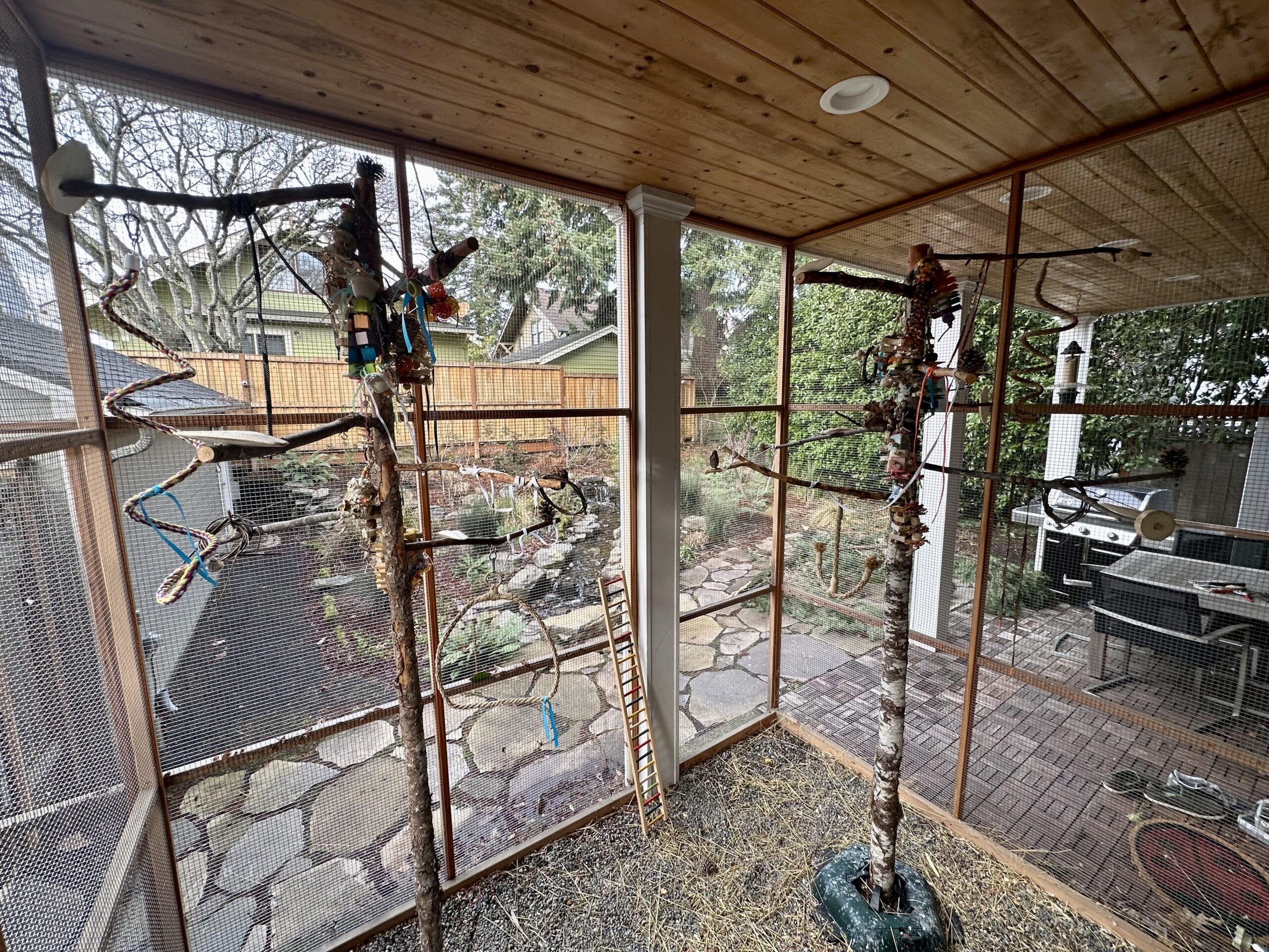 How I made “perch trees” for our aviaries