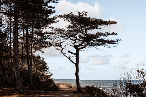 Stories Cafe | Annette Wernblad | Substack