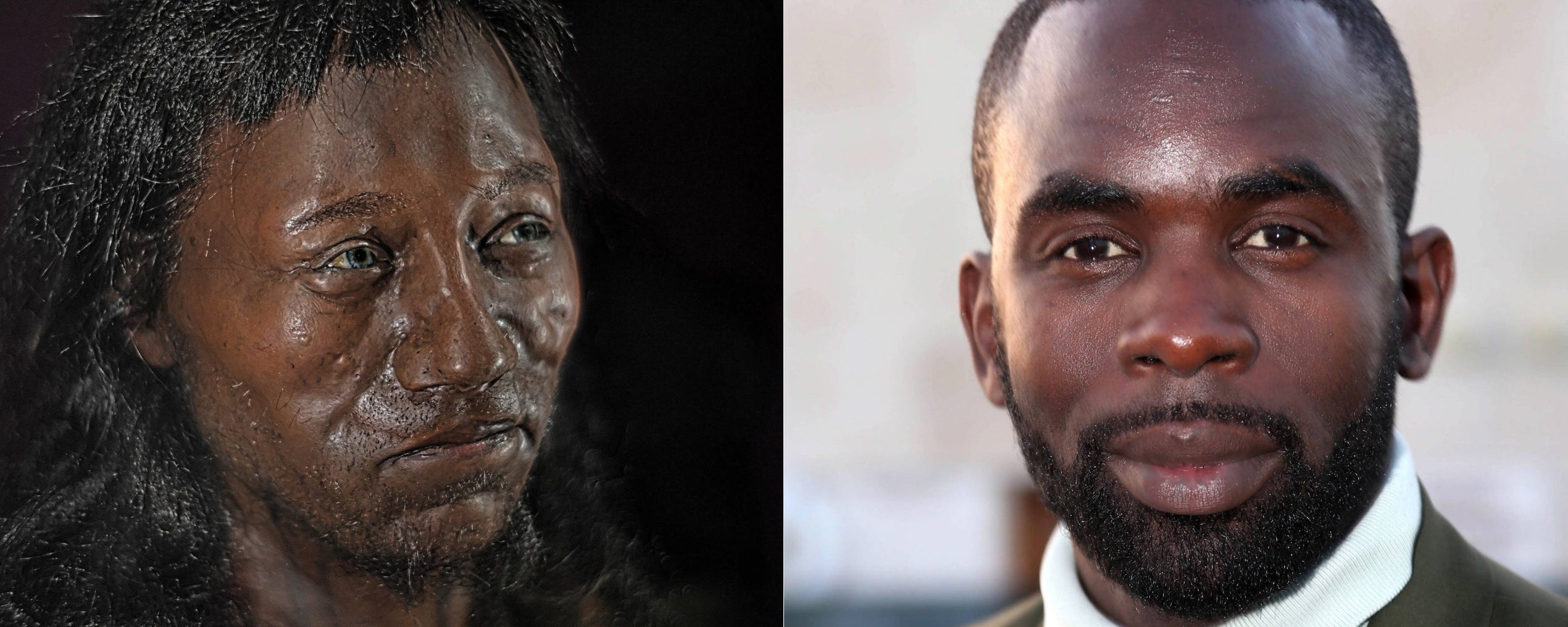 The Ancient Echoes of Cheddar Man: A Tale of Discovery, DNA, and Deep ...
