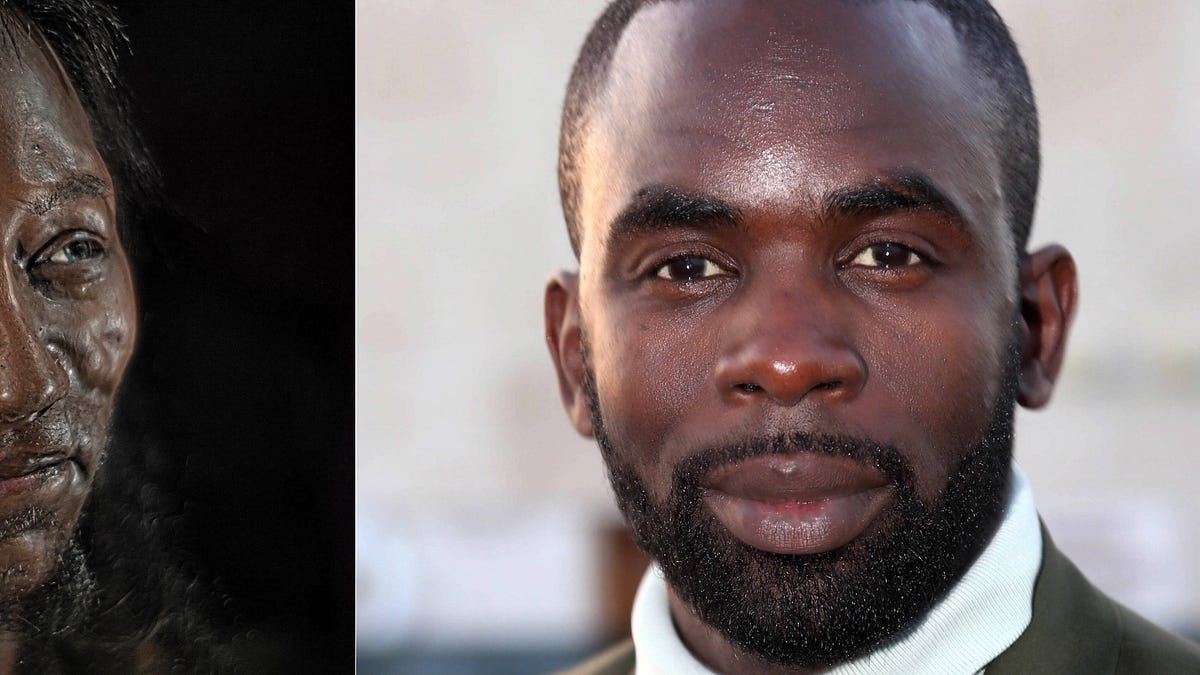 The Ancient Echoes of Cheddar Man: A Tale of Discovery, DNA, and Deep ...