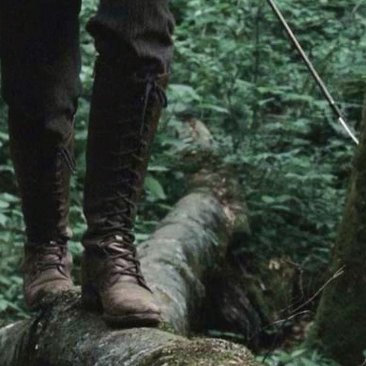 the role of food and starvation in the hunger games 🏹