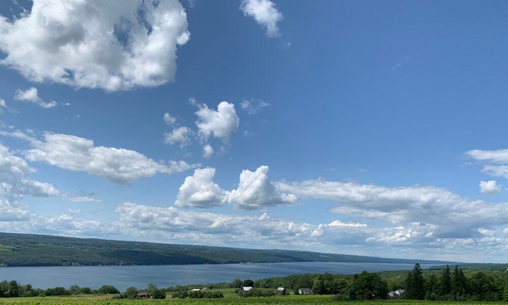 Where the Ravine Tells the Story