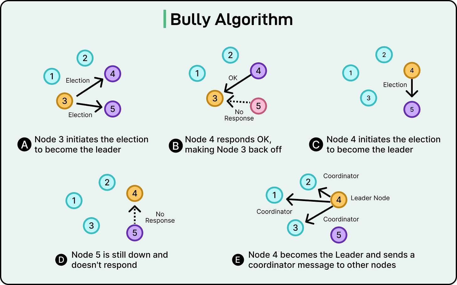 Top Leader Election Algorithms in Distributed Databases