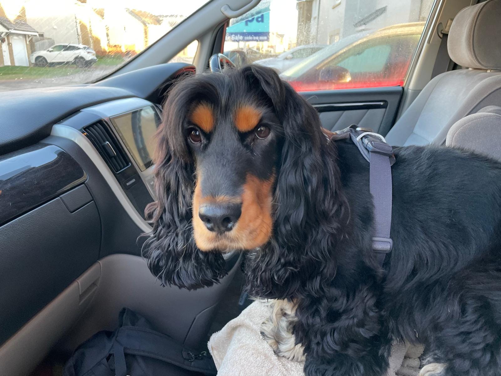 Maiden voyage goes down the pan - by David Mill