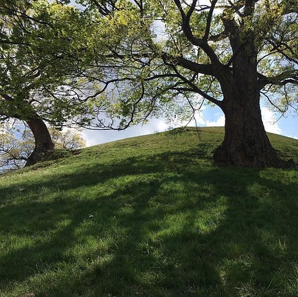 Noah Smith (@noahpinion):