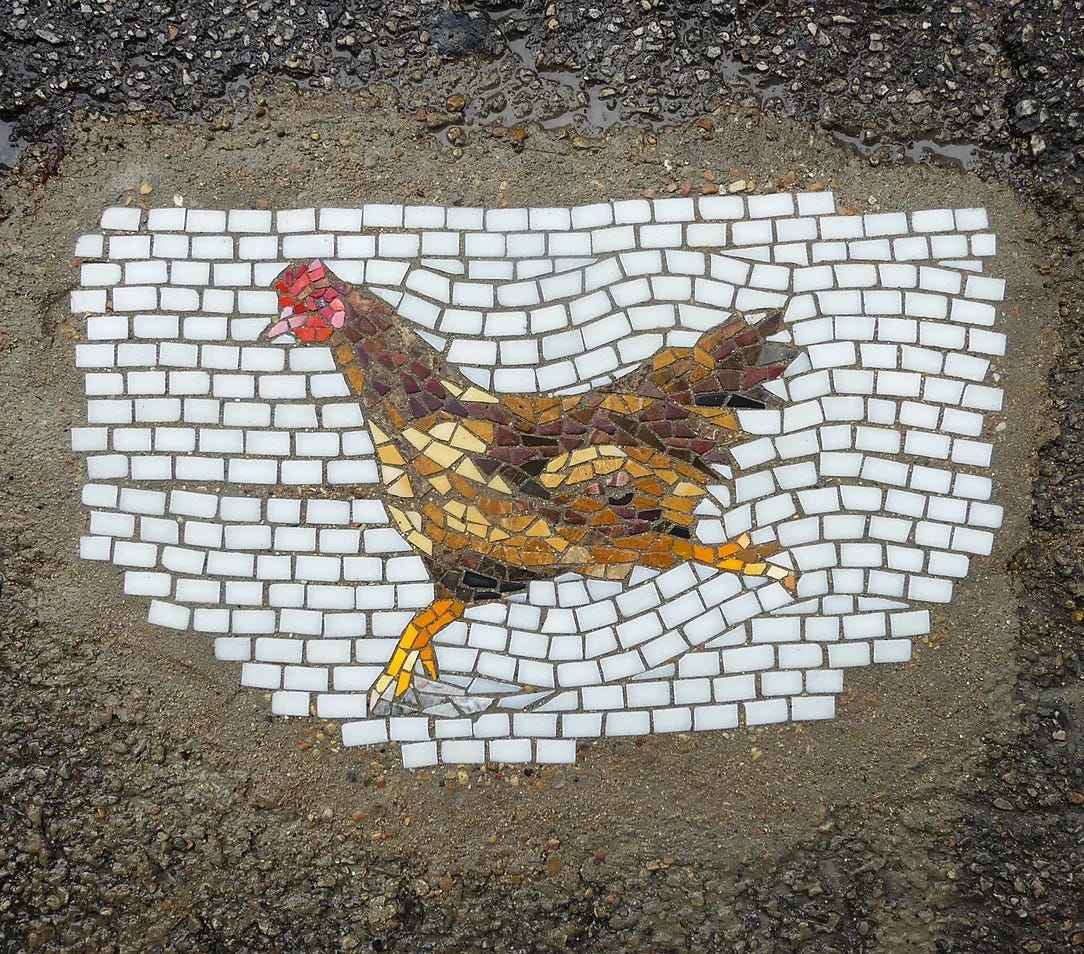 draw with rob rooster