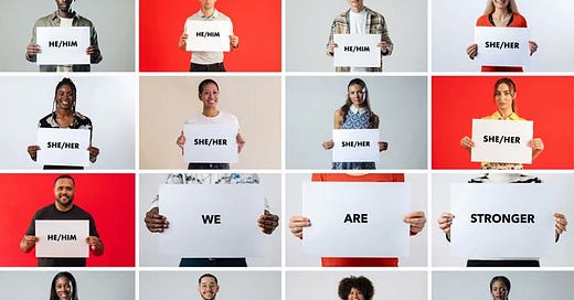 The Ivy Exile | Substack