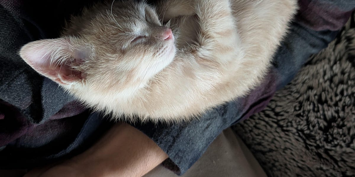 nala #poem - Daniel Kaschel