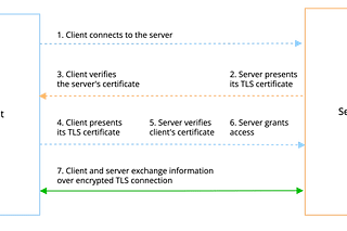 CoderCo | Coder Co | Substack