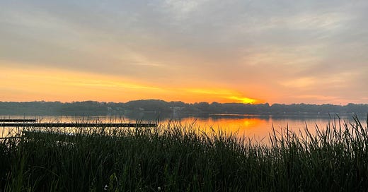 Humans Leading | Jillian Bybee, MD | Substack