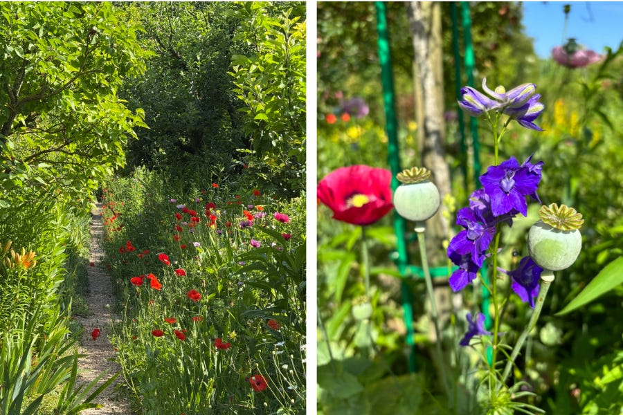 38 Must-Have, French-Approved Plants - by Heather Evans