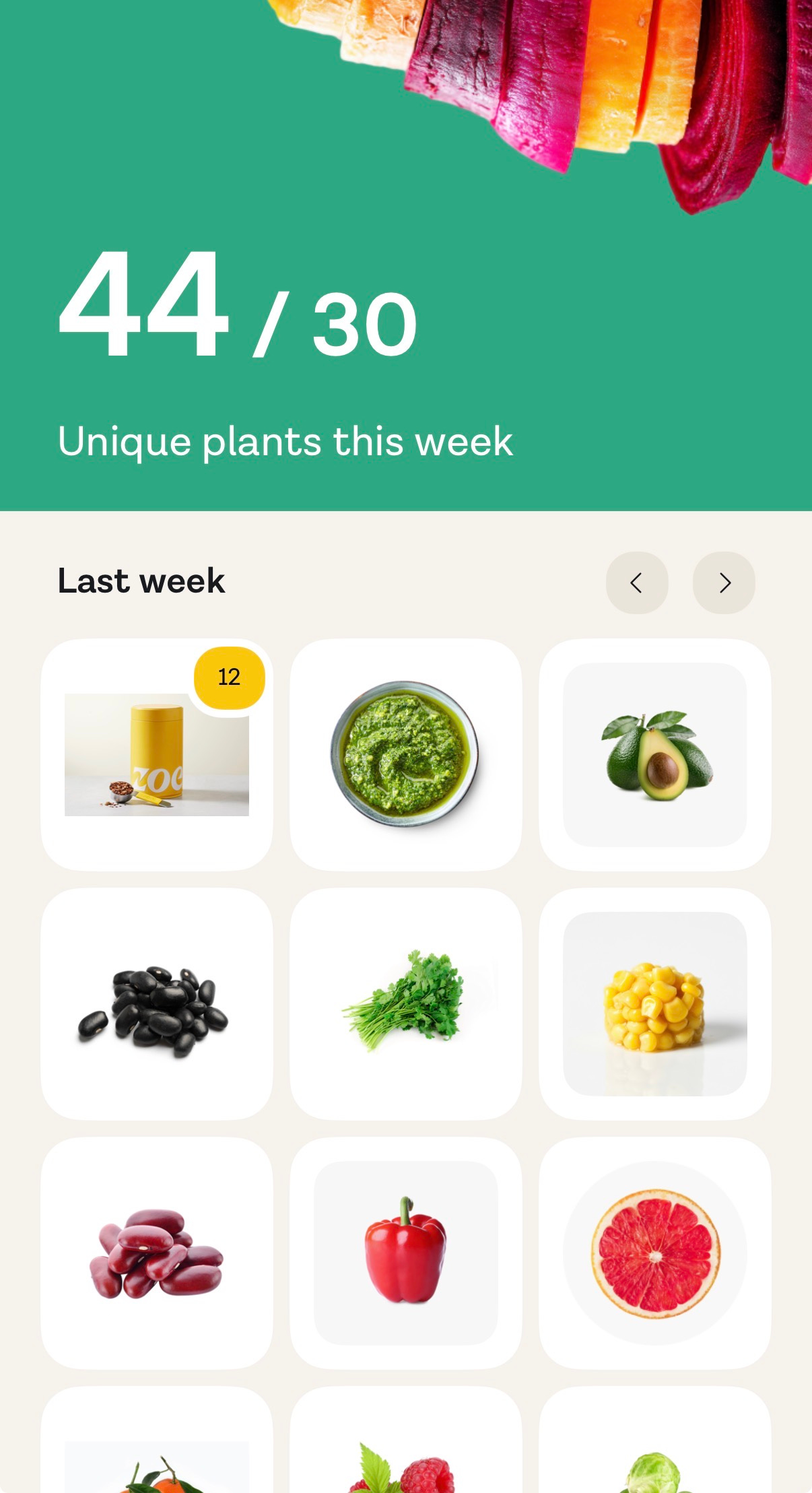 A Cozy Rabbit and Fitness Plans - Scott Dawson