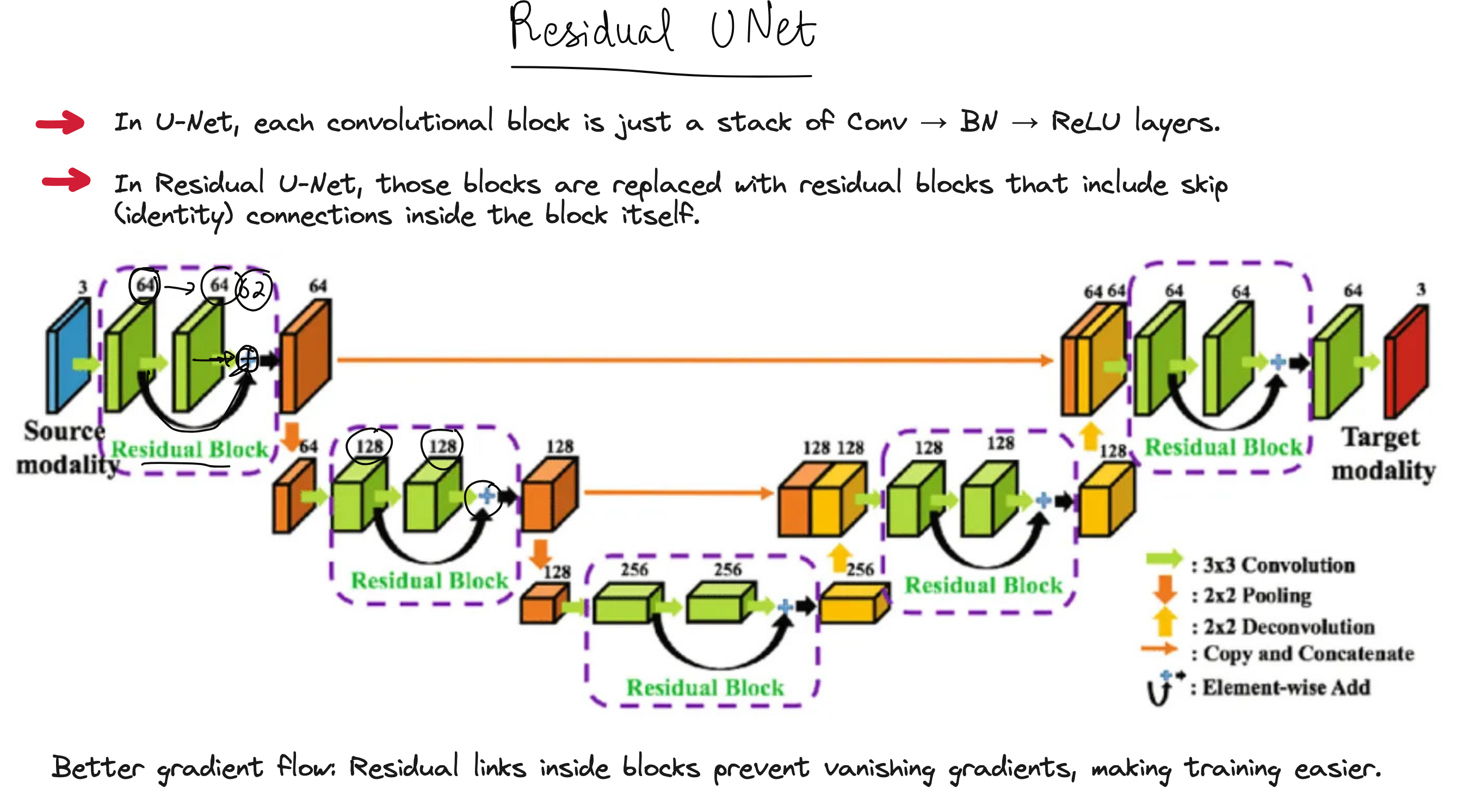 UNet and its Family: UNet++, Residual UNet, and Attention UNet