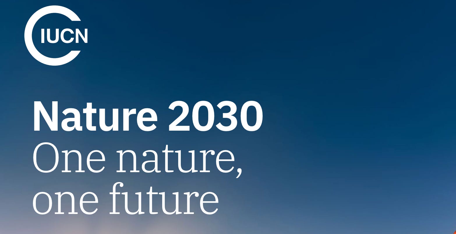 A Nature-Based Solution - by esc