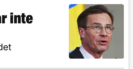 Katten mot strömmen – Katerina Janouch | Substack