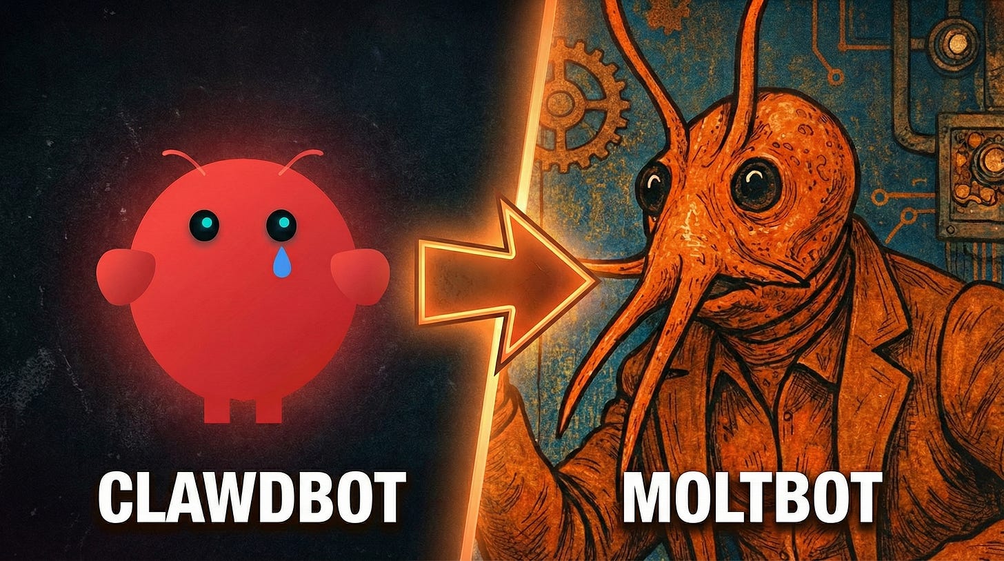 Moltbot rises from Clawdbot's ashes - by Leonardo Gonzalez