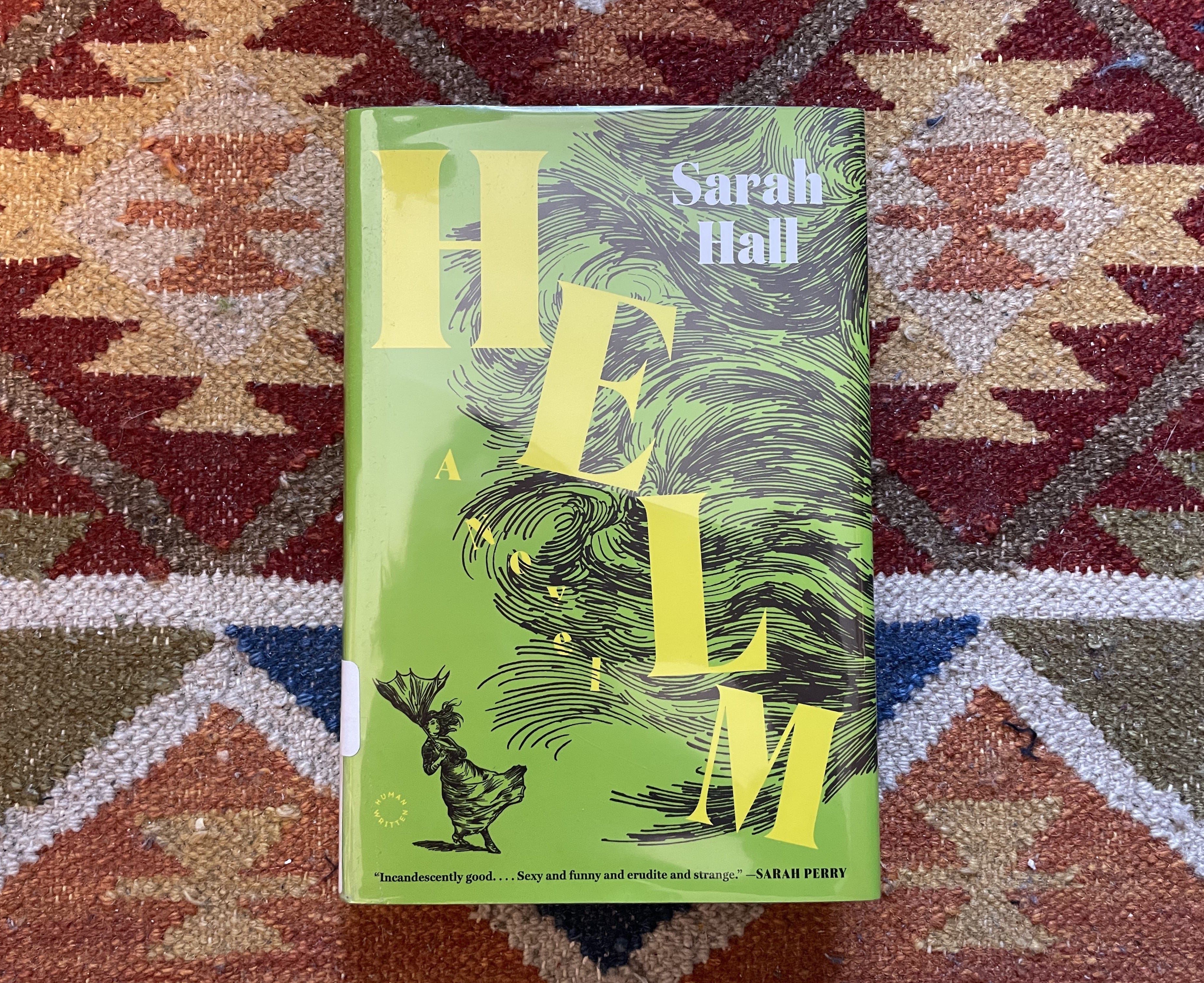 Book Thoughts: Helm by Sarah Hall (2025) - by Phoebe Phelps