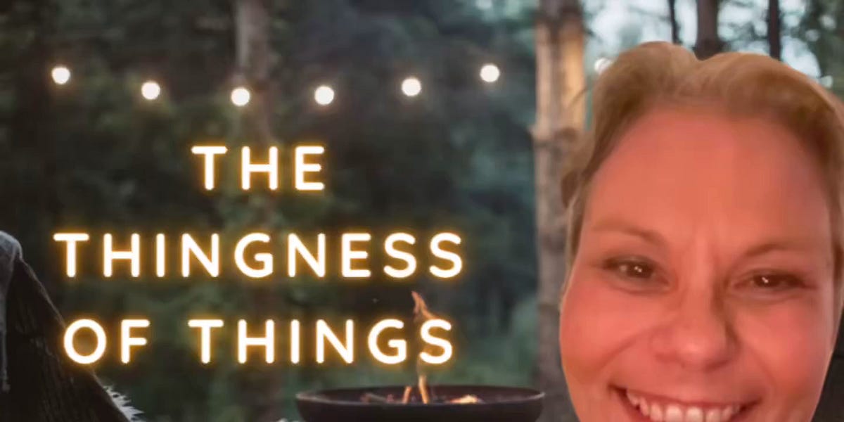 The Thingness Of Things - by Tammy C. Bonin