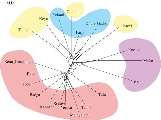 The Origins and Evolution of The Dravidian Languages