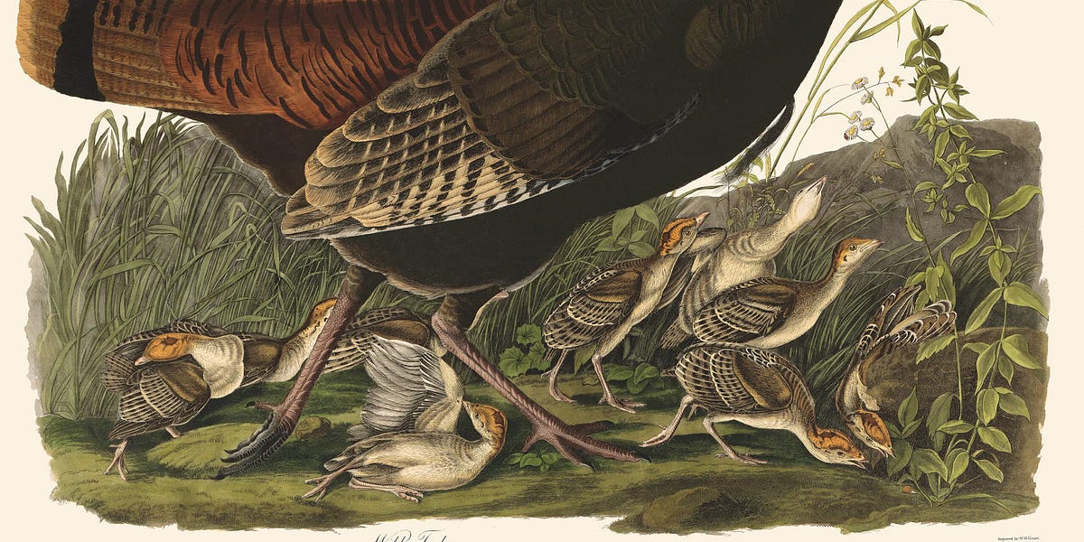 Thanksgiving Prayer - by Mandi Gerth - Mrs. Gerth Teaches
