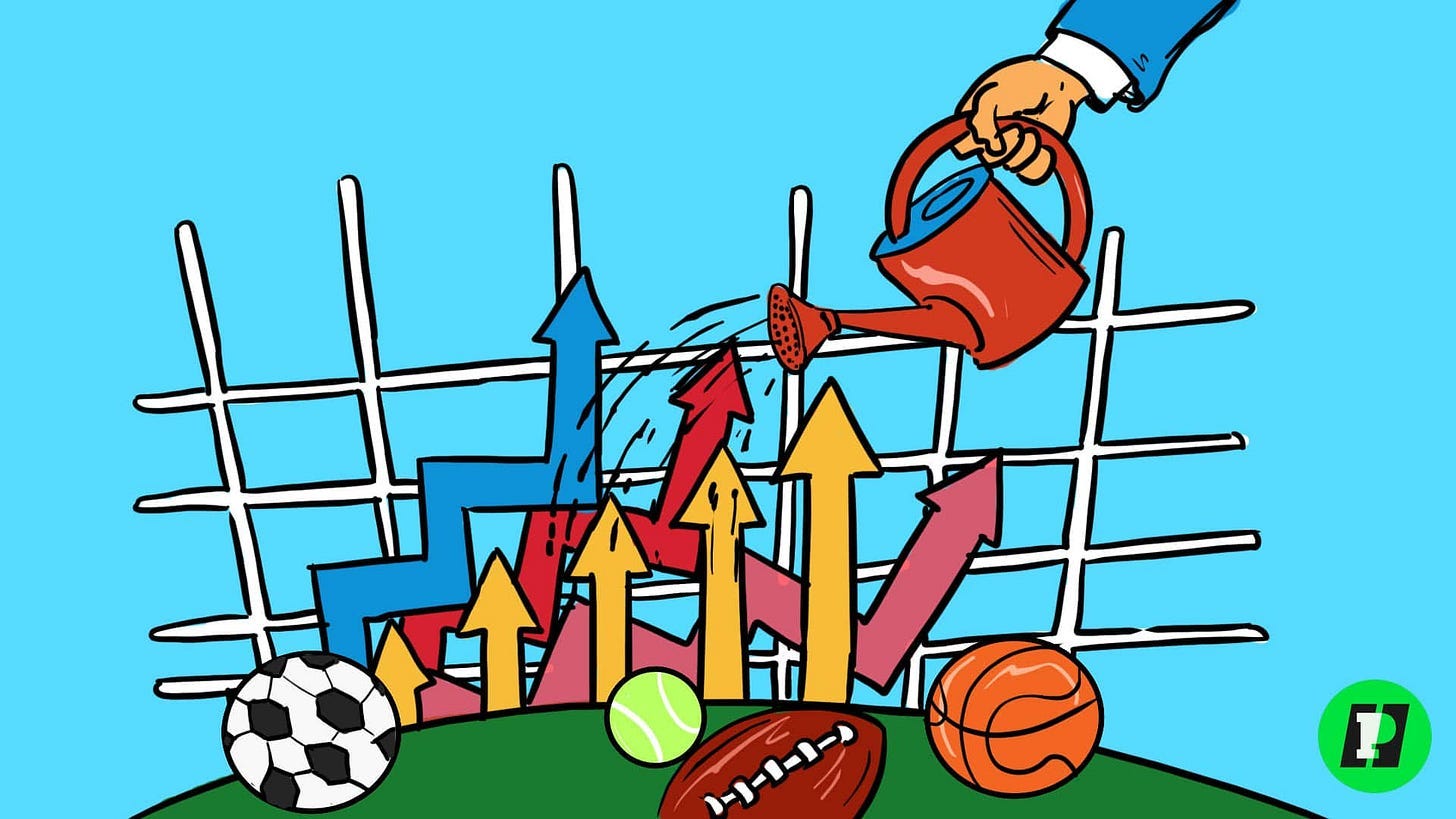 The Problems (and Solutions) of Emerging Sports Leagues