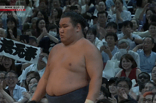 Sumo Stomp! | Tim Bissell | Substack