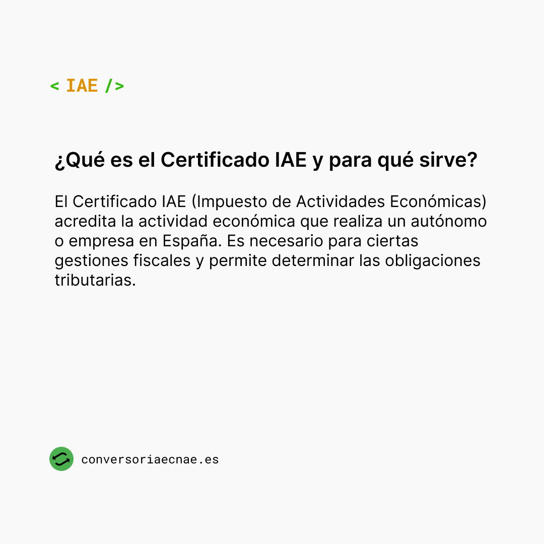 ¿Cómo Obtener el Certificado IAE? Guía Completa para Autónomos y Empresas