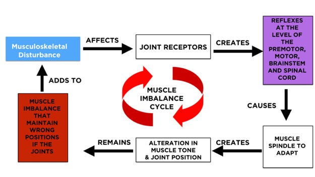 Why Your Fascia Won't Change Until You Fix Your Tongue, Toes, and Eyes