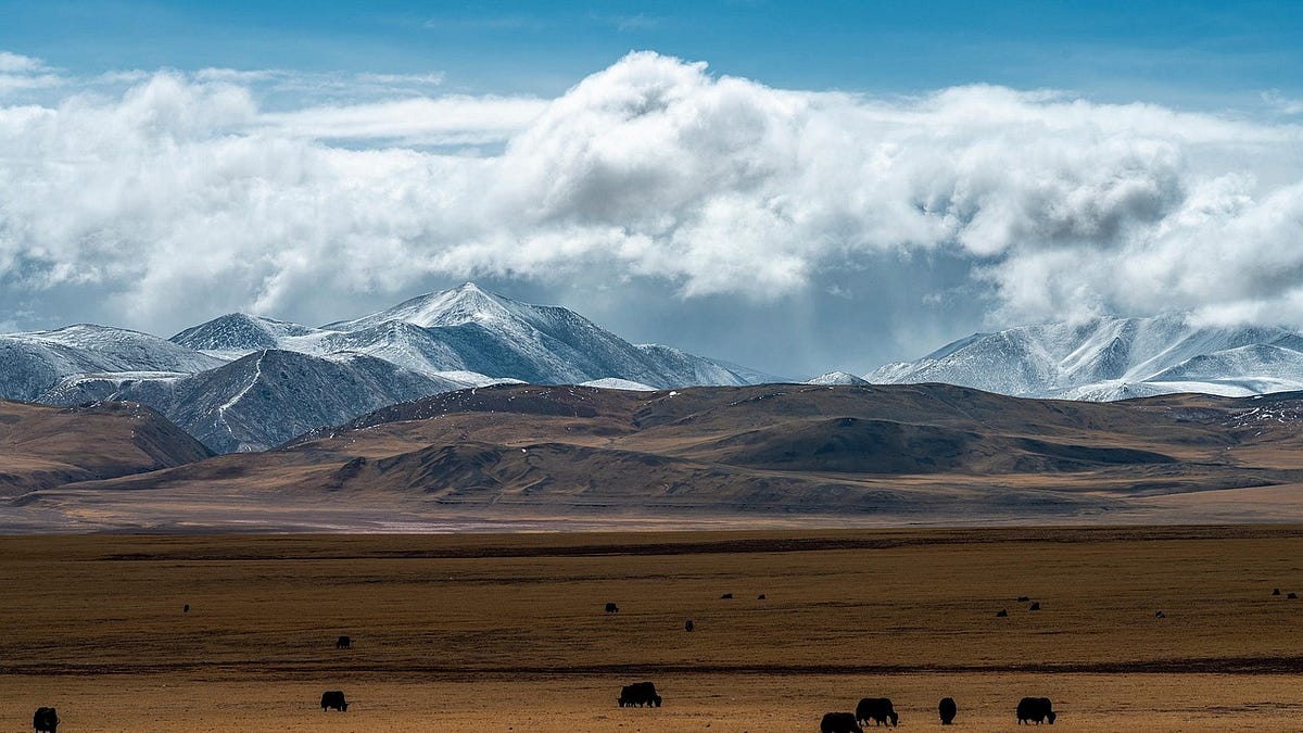 Comments - Life In The Empty Quarter