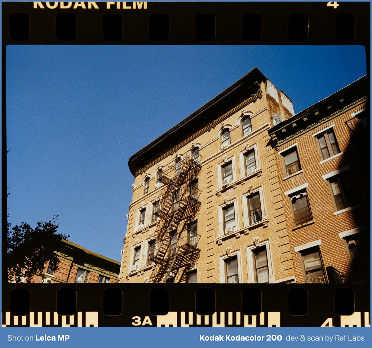 Kodak KODACOLOR 100 & 200 review with photos: is this really new film?